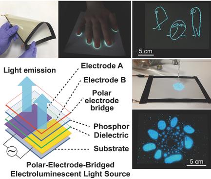 Polar‐Electrode‐Bridged Electroluminescent Displays: 2D Sensors ...