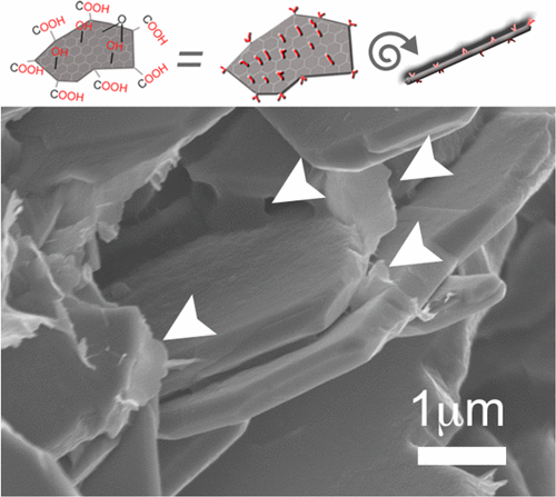 Graphene Oxide: An All-in-One Processing Additive for 3D Printing,ACS ...
