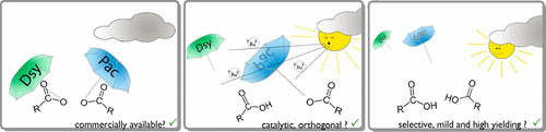 Desyl and Phenacyl as Versatile, Photocatalytically Cleavable ...