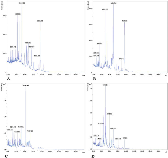 MALDI-TOF-MS based identification and molecular characterization of ...
