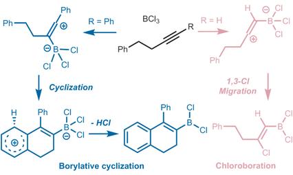 Mechanistic Insights on a Metal‐Free Borylative Cyclization of Alkynes ...