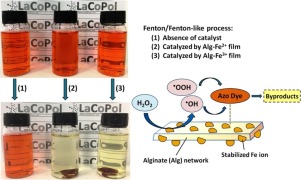 使用藻酸盐-Fe 2+ / Fe 3+ 膜作为催化剂，通过非均相的Fenton和类Fenton反应使偶氮甲基橙快速脱色 ...