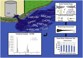 麋鹿河化学品泄漏相关的甲基环己烷甲醇（MCHM）混合物的比较分析和毒理学评估,Chemosphere - X-MOL