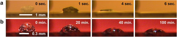 High wettability of liquid caesium iodine with solid uranium dioxide ...
