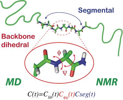 Analytical Description of NMR Relaxation Highlights Correlated Dynamics ...