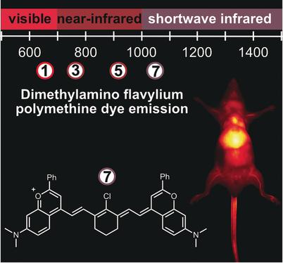 Flavylium Polymethine Fluorophores for Near- and Shortwave Infrared ...