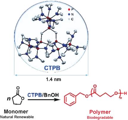 Selective Ring-Opening Polymerization of Non-Strained γ-Butyrolactone ...