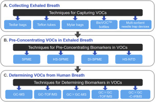 Review of recent developments in determining volatile organic compounds ...