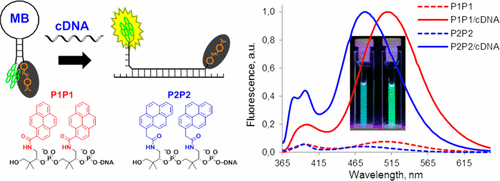 Fine Tuning of Pyrene Excimer Fluorescence in Molecular Beacons by ...