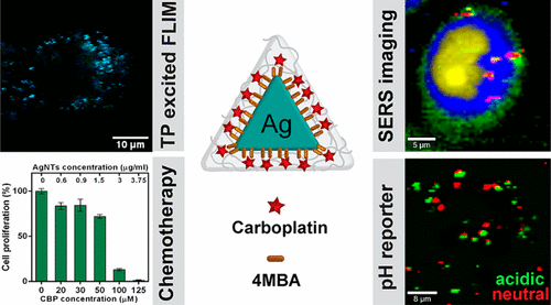 Carboplatin-Loaded, Raman-Encoded, Chitosan-Coated Silver Nanotriangles ...