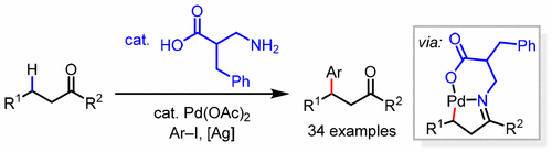 Methylene C(sp3)–H Arylation of Aliphatic Ketones Using a Transient Directing Group,ACS ...