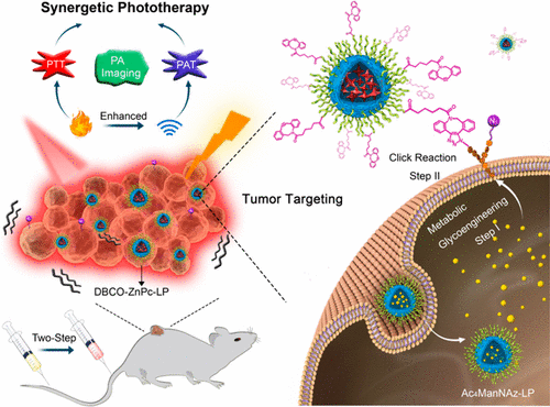 In Vivo Imaging-Guided Photothermal/Photoacoustic Synergistic Therapy ...