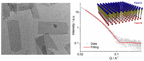 Self-Assembled 2D Free-Standing Janus Nanosheets with Single-Layer ...