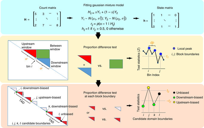 Identifying topologically associating domains and subdomains by Gaussian Mixture model And ...