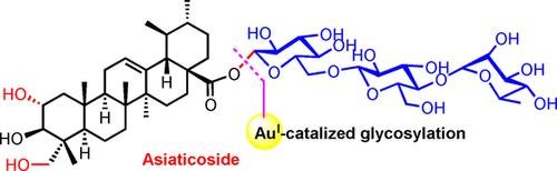 A Convergent Synthesis of the Triterpene Saponin Asiaticoside,Asian ...