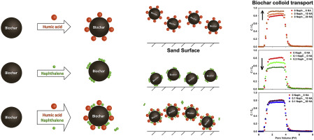 Antagonistic effect of humic acid and naphthalene on biochar colloid ...