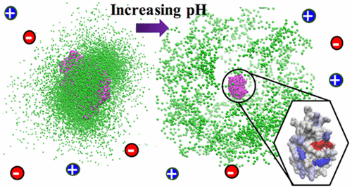 Computationally Mapping pKa Shifts Due to the Presence of a ...