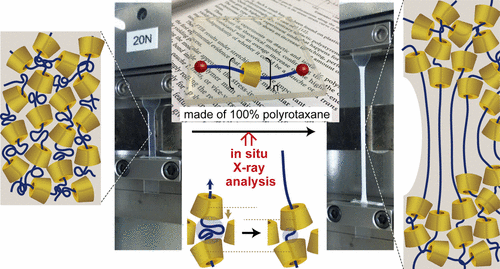 Ductile Glass of Polyrotaxane Toughened by Stretch-Induced ...