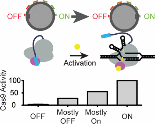 Rheostatic Control of Cas9-Mediated DNA Double Strand Break (DSB ...