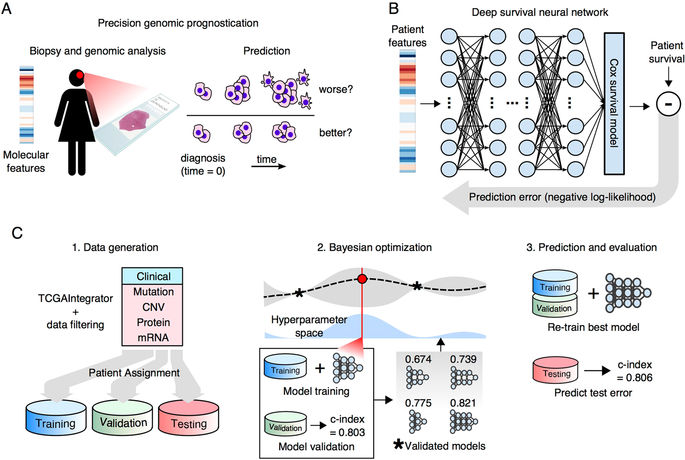 Predicting clinical outcomes from large scale cancer genomic profiles with deep survival models ...