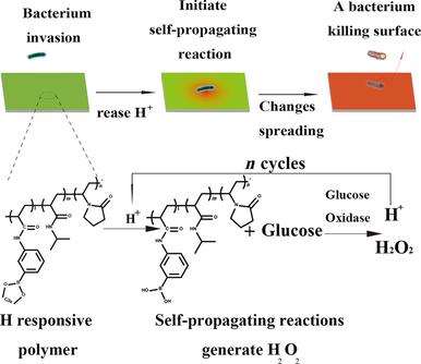 Autonomous and Continuous Stimuli-Responsive Polymer Surface for ...