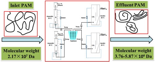 Cleavage of the main carbon chain backbone of high molecular weight ...