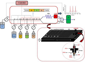 Exploiting an automated microfluidic hydrodynamic sequential injection ...
