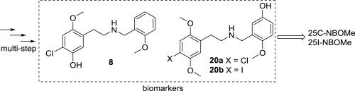 Synthesis and identification of metabolite biomarkers of 25C-NBOMe and ...