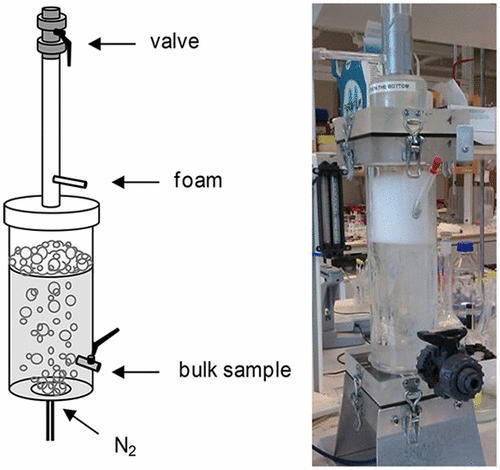Removal of Cd2+, Zn2+, and Sr2+ by Ion Flotation, Using a Surface ...