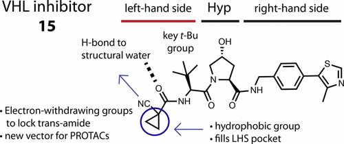 Group-Based Optimization of Potent and Cell-Active Inhibitors of the ...
