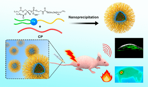 Molecular Engineering of Conjugated Polymers for Biocompatible Organic ...