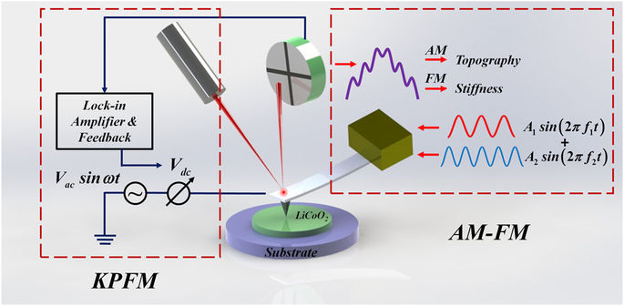 使用先进的基于AFM的高分辨率技术对LiCoO2阴极膜进行多特征化。,Scientific Reports - X-MOL