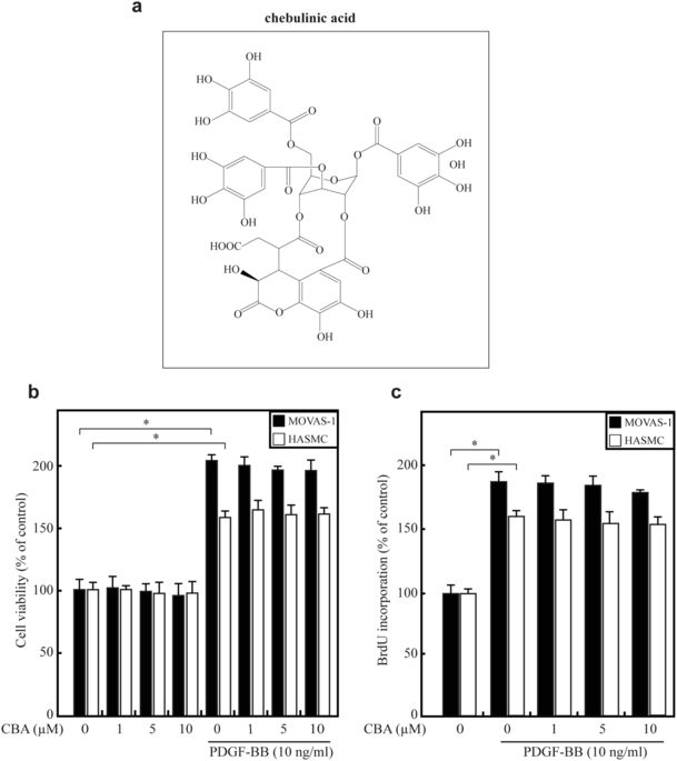 Chebulinic acid inhibits smooth muscle cell migration by suppressing ...