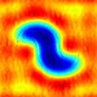 Vector vortex beam generation with dolphin-shaped cell meta-surface ...