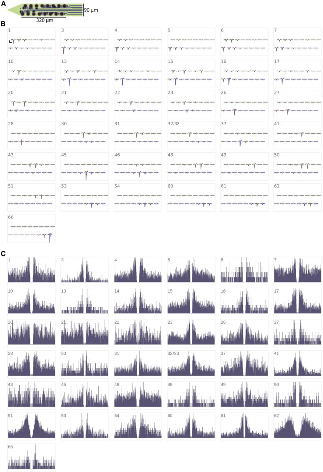 A Fully Automated Approach to Spike Sorting.,Neuron - X-MOL