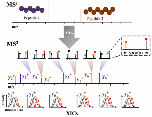Mdfdia A Mass Defect Based Four Plex Data Independent Acquisition