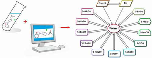 Unraveling Complexity in the Solid Form Screening of a Pharmaceutical ...