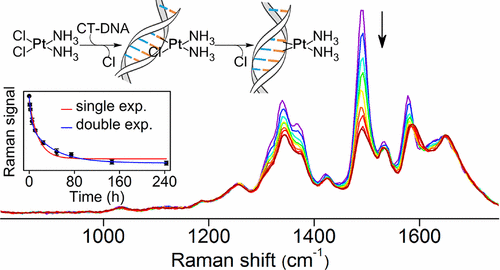 An Ultraviolet Resonance Raman Spectroscopic Study of Cisplatin and ...