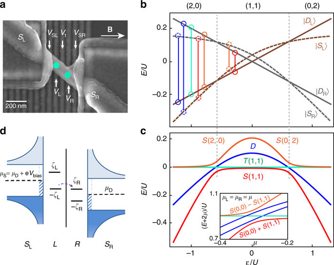 Andreev molecules in semiconductor nanowire double quantum dots.,Nature ...