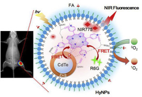 Rational engineering of semiconductor QDs enabling remarkable 1O2 ...
