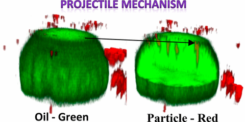 A New Mechanism of Sediment Attachment to Oil in Turbulent Flows ...
