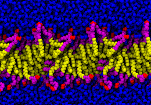 与GROMOS兼容的2016H66力场模拟非离子表面活性剂的双层,Langmuir - X-MOL