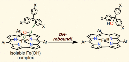 Direct Observation of Oxygen Rebound with an Iron-Hydroxide Complex ...