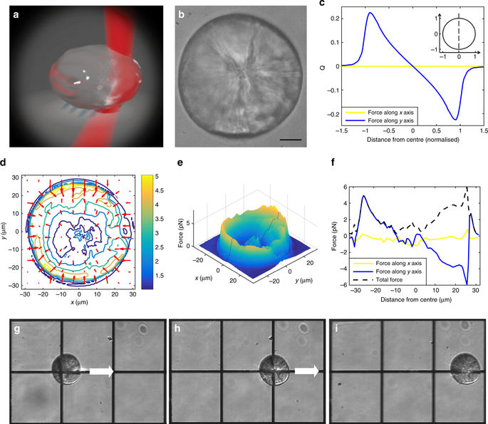 Optical trapping of otoliths drives vestibular behaviours in larval ...