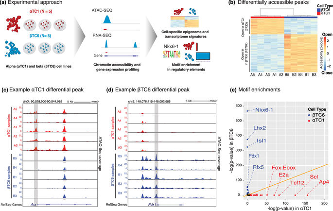 Alpha TC1 and Beta-TC-6 genomic profiling uncovers both shared and ...