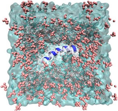 MD simulations and multivariate studies for modeling the ...