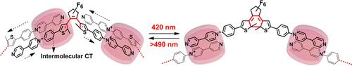 Dual Visible Light-Triggered Photoswitch of a Diarylethene ...