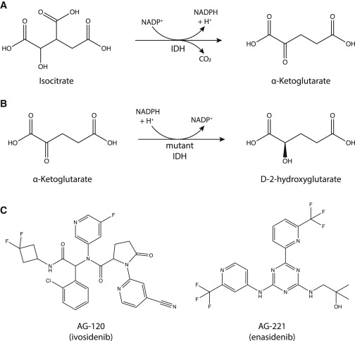 Targeting Metabolism for Cancer Therapy,Cell Chemical Biology - X-MOL