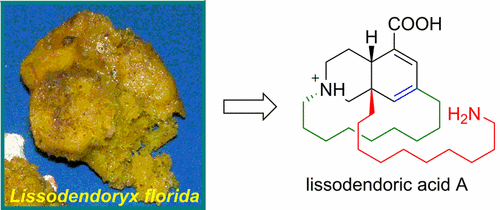 Lissodendoric Acids A and B, Manzamine-Related Alkaloids from the Far ...