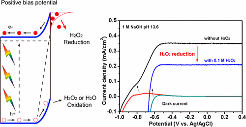 Back Electron Transfer at TiO2 Nanotube Photoanodes in the Presence of ...